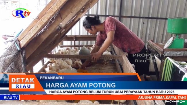 HARGA AYAM POTONG BELUM TURUN USAI PERAYAAN TAHUN BARU 2025