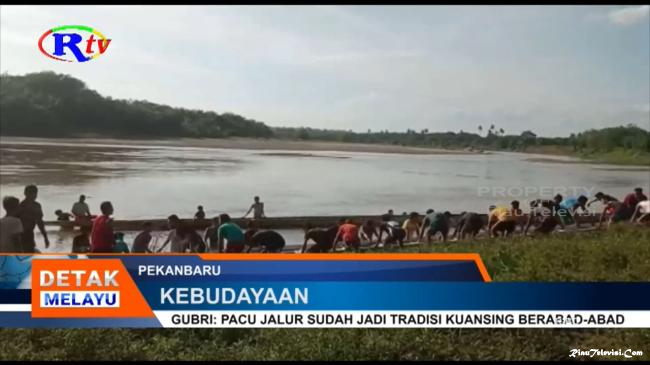 GUBRI : PACU JALUR SUDAH JADI TRADISI KUANSING SEJAK BERABAD ABAD